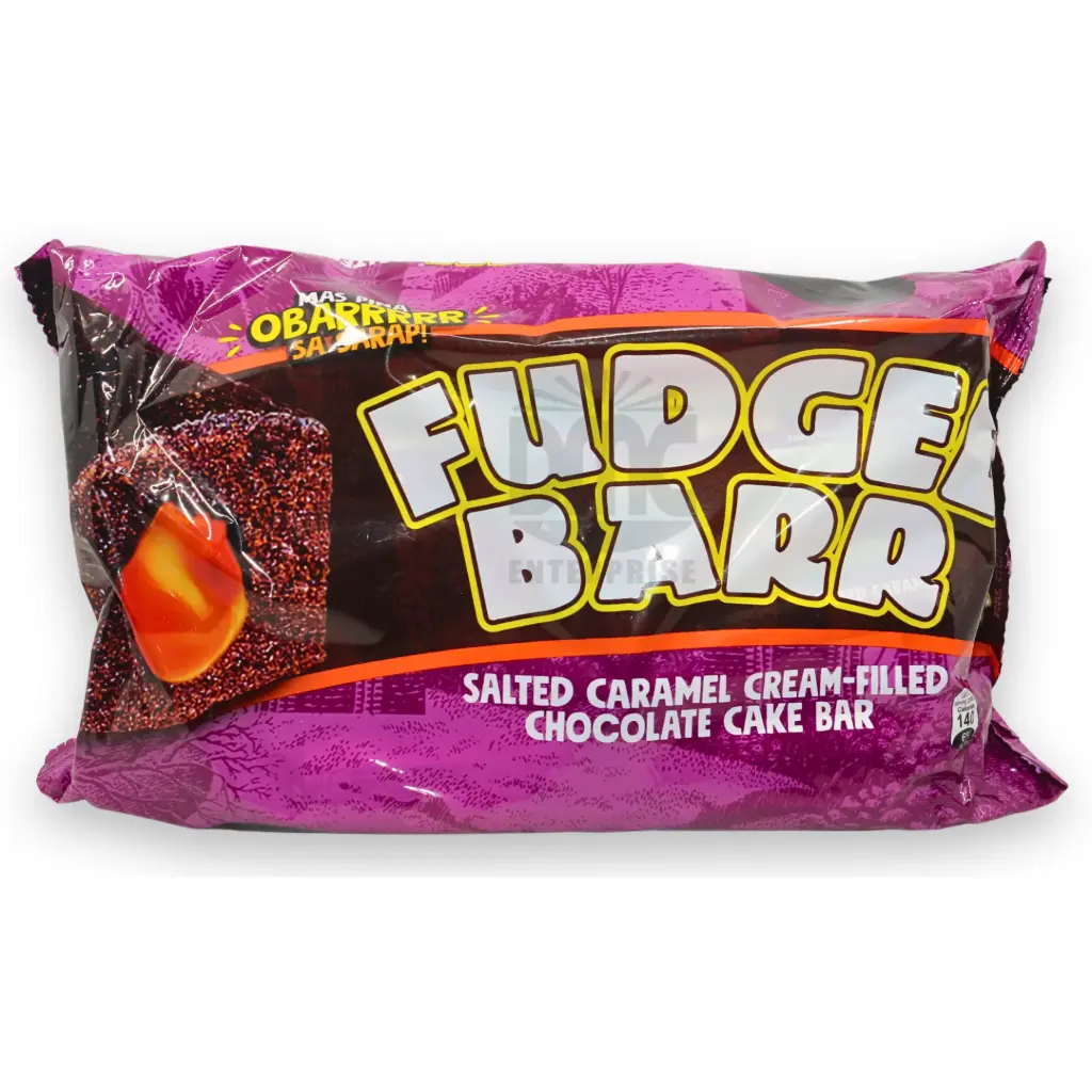 Rebisco Fudgee Barr Salted Caramel (38g x 10 x 10) | DMC